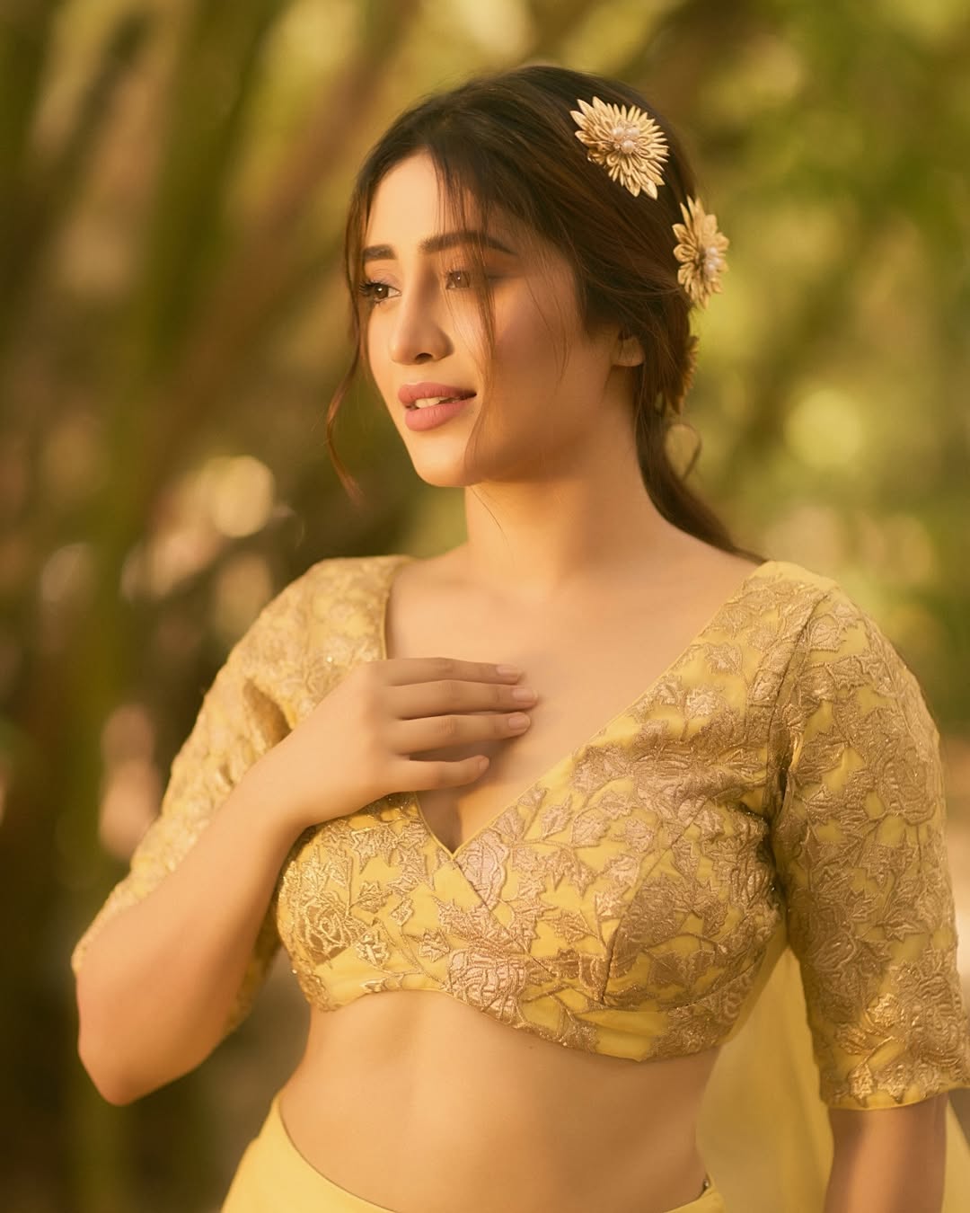 Most Beautiful Indian TV Actresses 2025 - Shivangi Joshi to Shraddha Arya | Top 5 Gorgeous ...