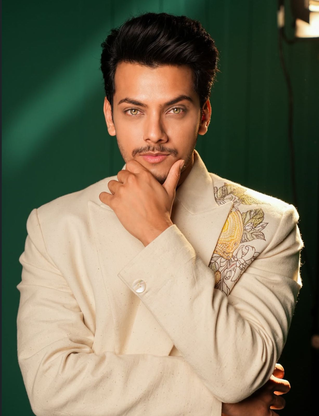 Rohit Saraf to Siddhant Chaturvedi: Young Actors Changing Bollywood ...