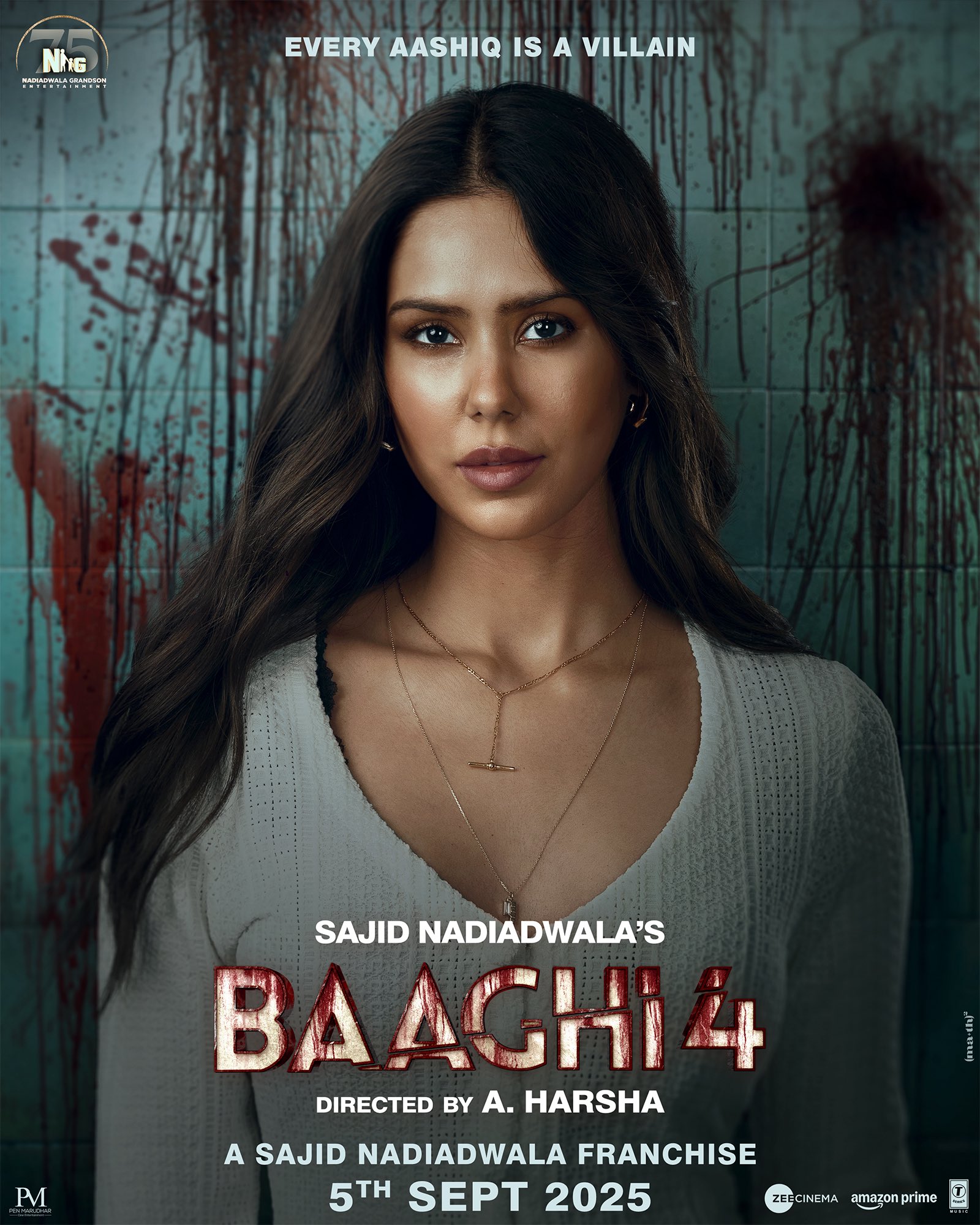 Baaghi 4 Movie Poster & Photos | Baaghi 4 Movie Location Pics | Baaghi ...