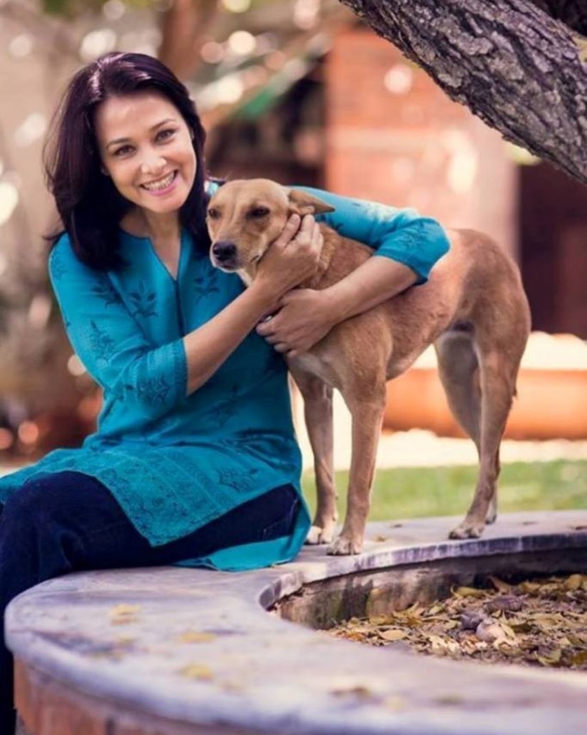 Amala Akkineni Birthday: Celebrating The Evergreen Star | Amala ...