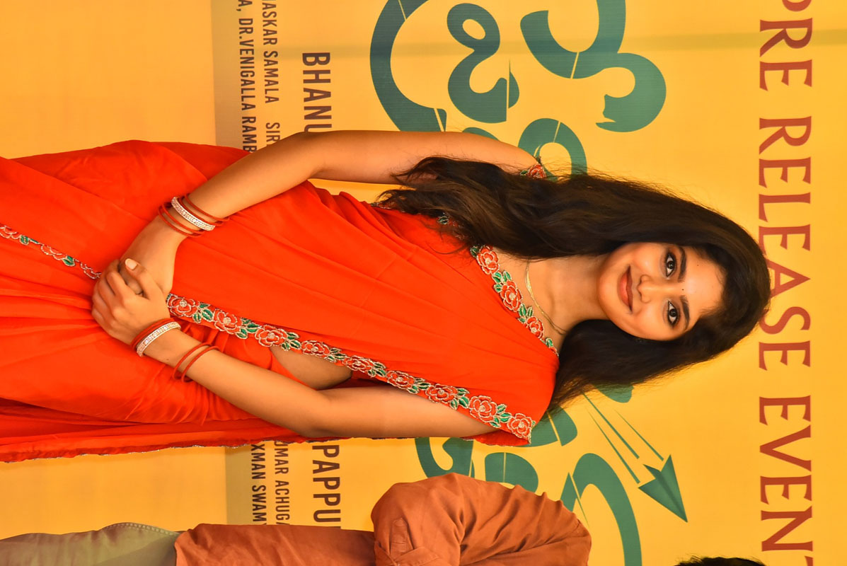 Premistunnaa Pre-Release Event Stills – Sathvik Varma & Preethi Neha ...