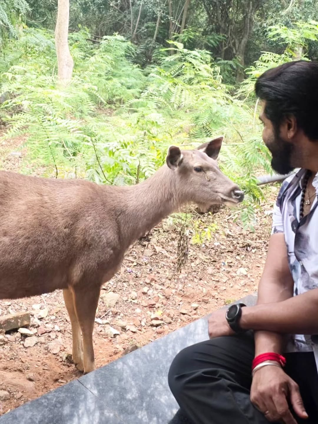 குடும்பத்தோட படியேறி திருப்பதி ஏழுமலையானை தரிசித்த அருண் விஜய்.. மகளும் ...