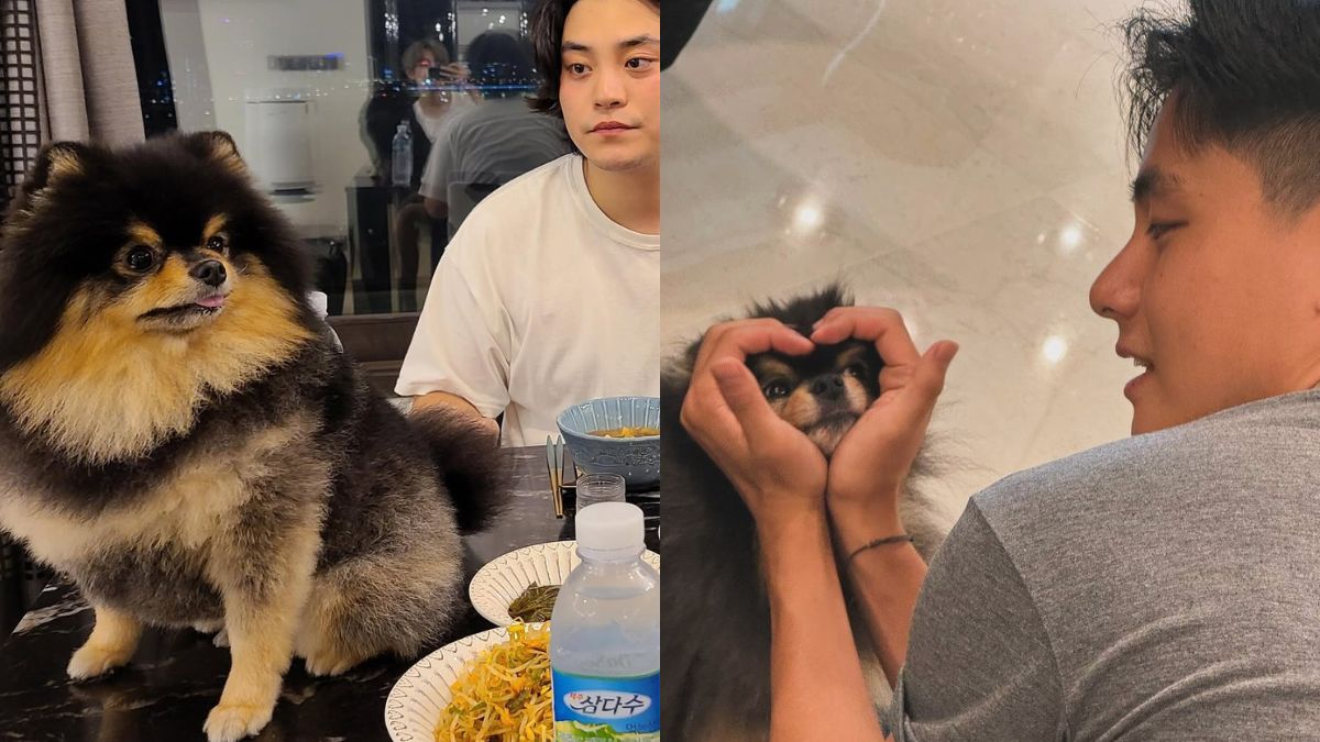 BTS Star Kim Taehyung Bids Farewell To His Pet Yeontan, Shares Cute ...