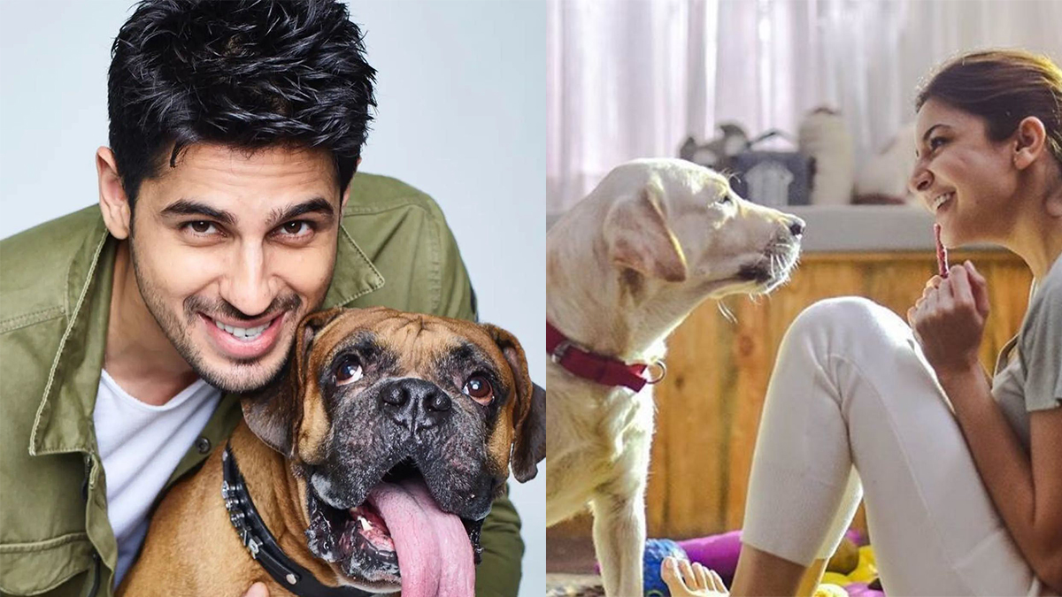 International Dog's Day 2024, Bollywood Celebrities And Their Dogs ...