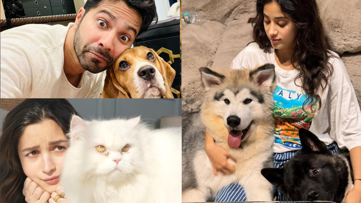 Celebrating National Love Your Pet Day With Indian Celebrities And ...