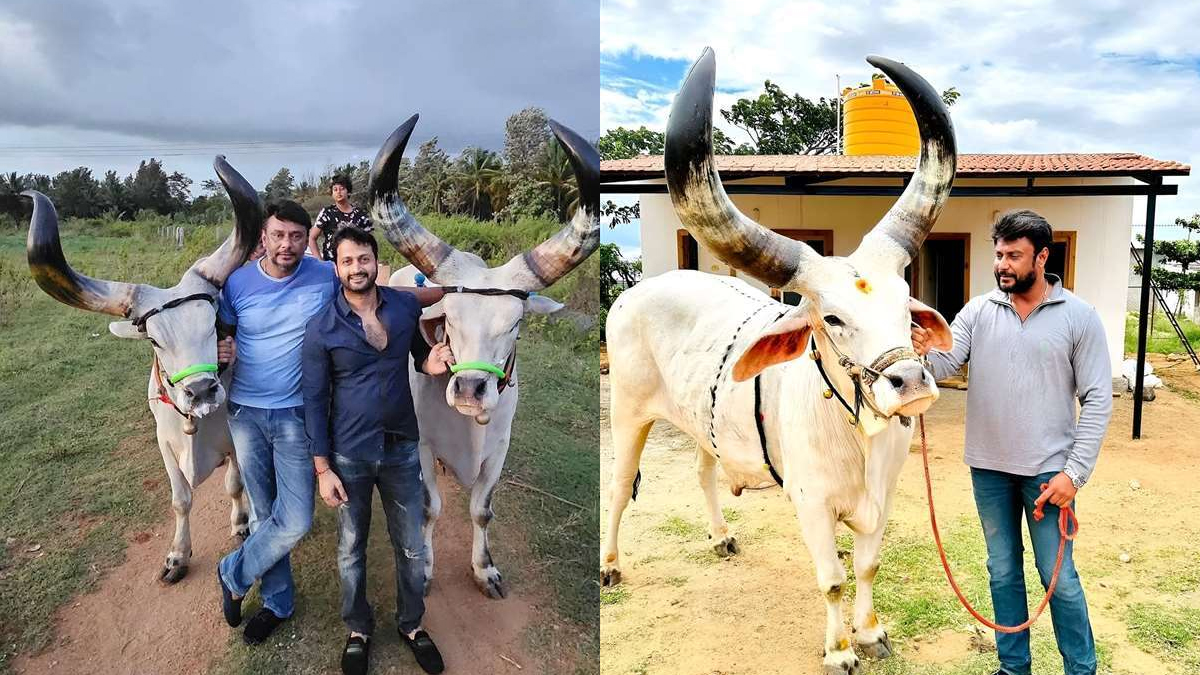 Darshan Unseen Family Photos - Filmibeat