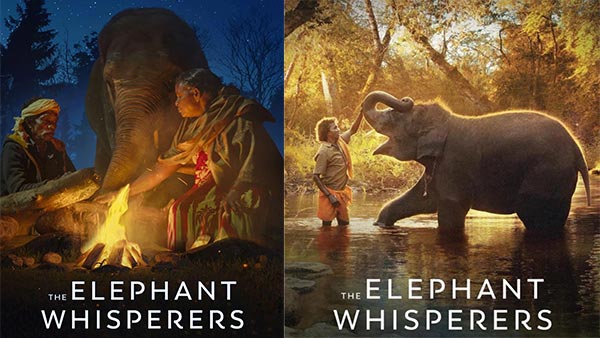 Oscars 2023: Know All About Oscar Award Winning The Elephant Whisperers ...