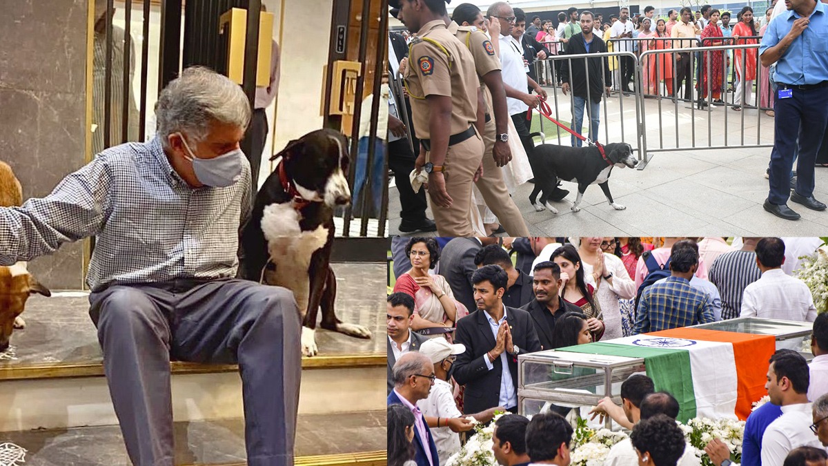 Ratan Tata Dog Goa Arrives To Pay Last Respect To His Owner - Filmibeat