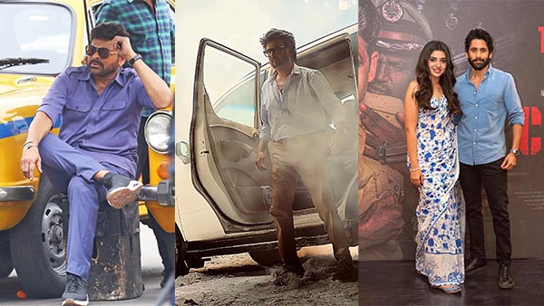 South News Weekly Recap: From Thalapathy Vijay and Trisha Krishnan ...