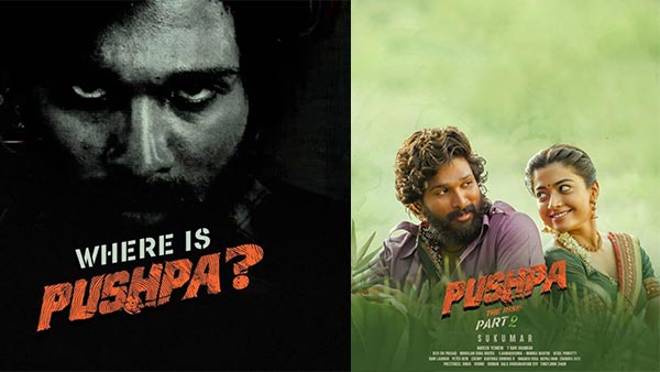 Will Pushpa 2 also be a massive Hit at the box office? Interesting ...