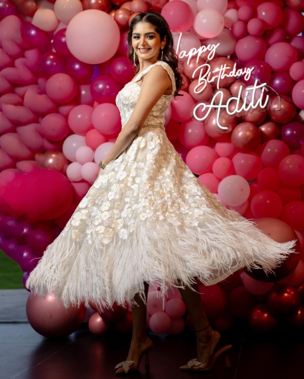 Aditi Shankar: ப்பா.. பிறந்தநாளை அதிதி ஷங்கர் எப்படி கொண்டாடி இருக்காரு பாருங்க.. சூப்பர் பிக்ஸ் ...