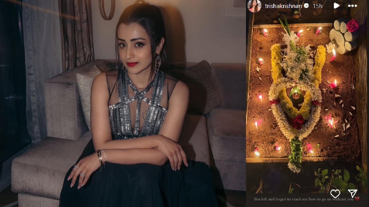 Trisha: நீ இல்லாமல் நான் எப்படி வாழ்வேன்.. துக்கத்தில் தவிக்கும் த்ரிஷா ...