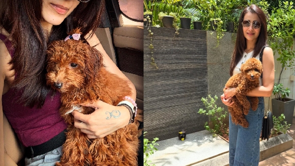 Trisha: விஜய் கையில் வைத்துக் கொஞ்சினாரே.. 20 ஆயிரம் முத்தங்களைக் ...