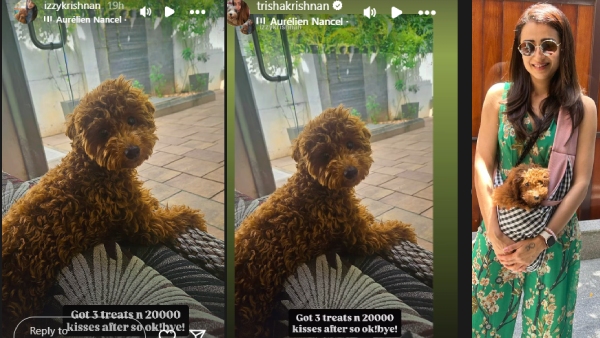 Trisha: விஜய் கையில் வைத்துக் கொஞ்சினாரே.. 20 ஆயிரம் முத்தங்களைக் ...