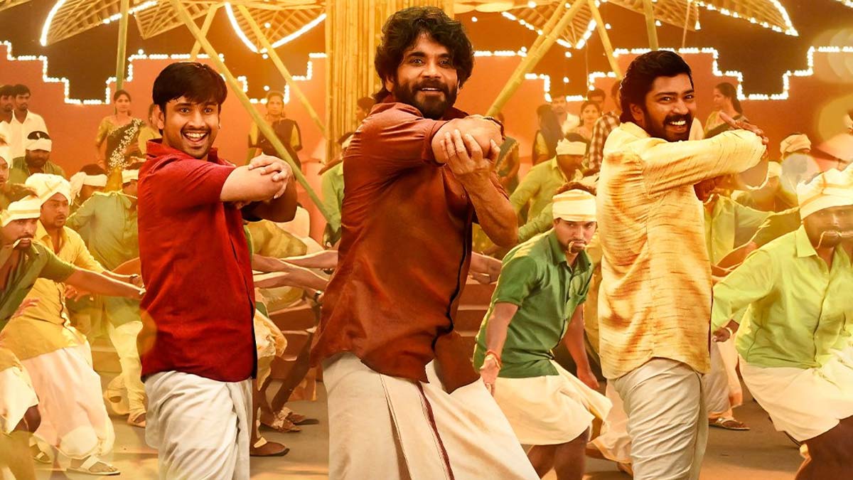 Naa Saami Ranga 13 Days Collections: జాక్‌పాట్ కొట్టిన నాగ్.. అన్ని ...