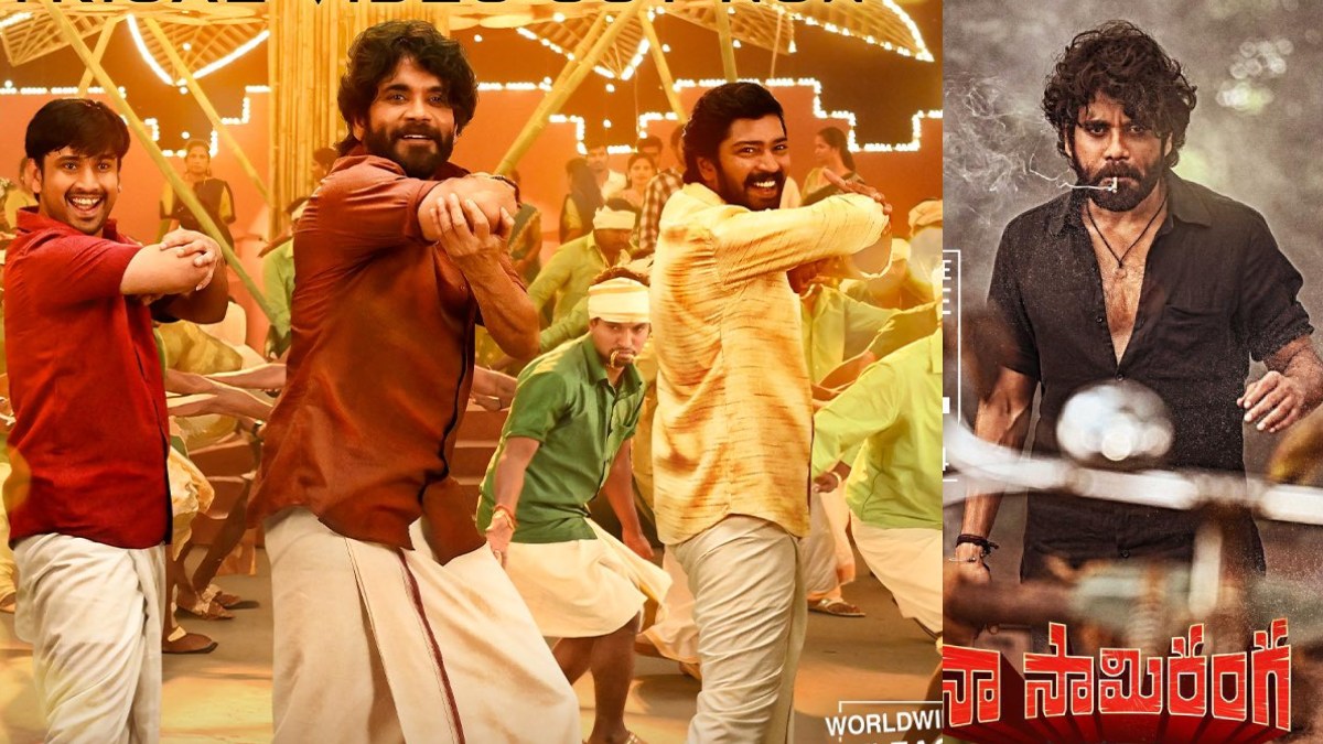 Naa Saami Ranga Day 1 Collections: నాగార్జున మూవీకి దిమ్మతిరిగే వసూళ్లు ...