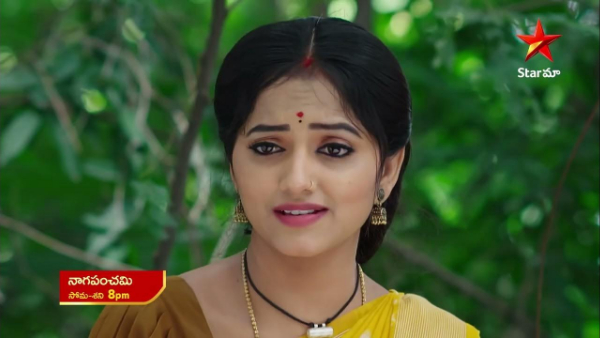 Naga Panchami 21st February: పంచమిని నాగలోకం తీసుకెళ్లాలని ఫణీంద్ర.. వీళ్లేదంటూ మోక్ష గొడవ ...