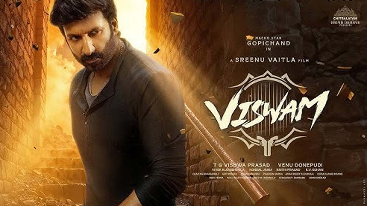 Viswam Day 12 Collections: వసూళ్లలో ఎన్టీఆర్‌కే పోటీ ఇస్తోన్న గోపీచంద్ ...