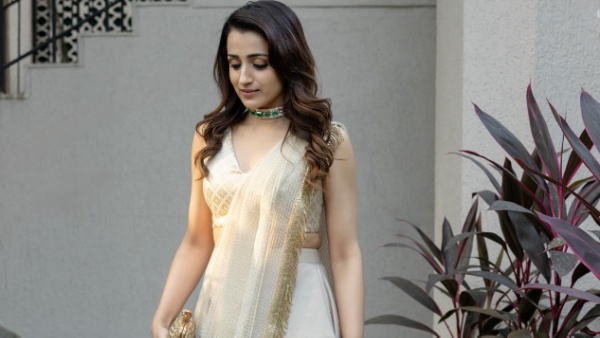 కుక్క పిల్లతో త్రిష అలాంటి పని.. వర్కవుట్ వీడియో ట్రెండింగ్ | actress ...