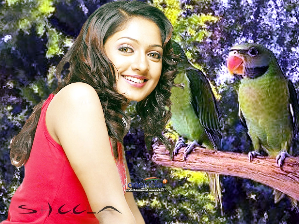 Sheela Wallpapers - FilmiBeat