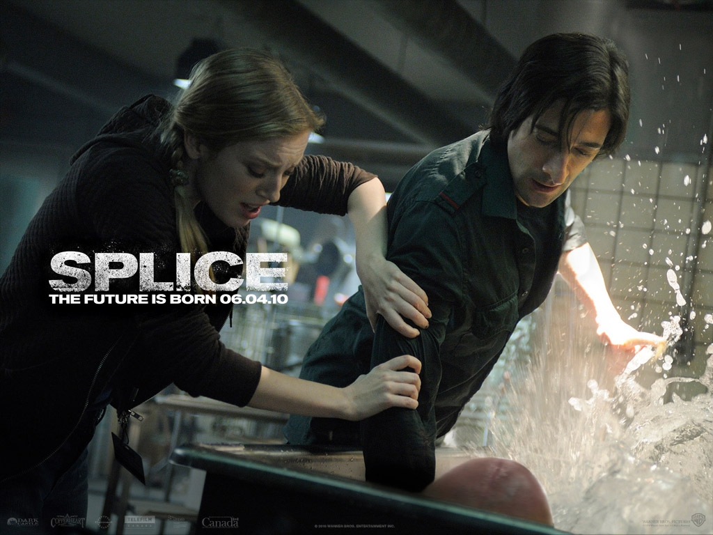 Splice Movie HD Wallpapers | Splice HD Movie Wallpapers Free Download ...