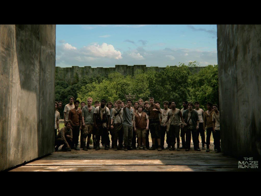 The Maze Runner Movie HD Wallpapers | The Maze Runner HD Movie ...