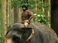 Kumki 2012 | Kumki Tamil Movie: Release Date, Cast, Story, Ott, Review ...