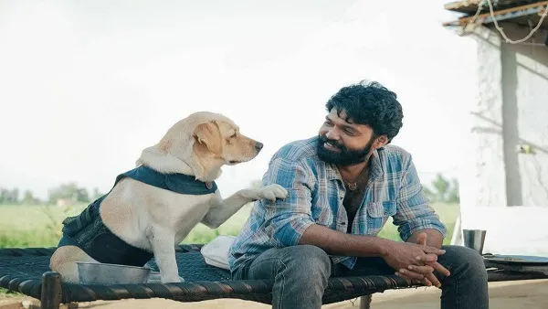 777 Charlie Movie (2022): Release Date, Cast, Ott, Review, Trailer ...