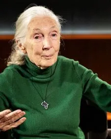 Netflix New Movie Releases 2025: Bollywood (Hindi), Tamil, Telugu ...