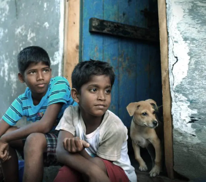 Kakka Muttai (2015) Movie: கதை, நடிகர்கள் மற்றும் பட குழு, வெளியீட்டு ...